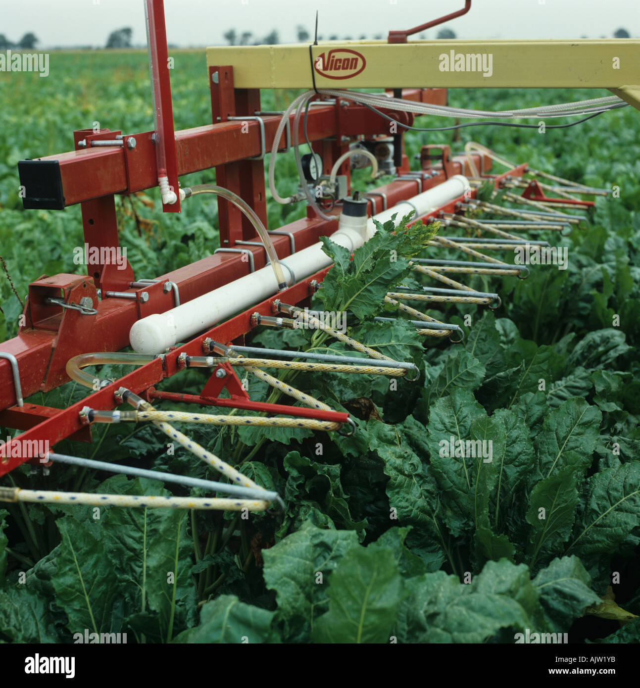 Weed wiper hi-res stock photography and images - Alamy