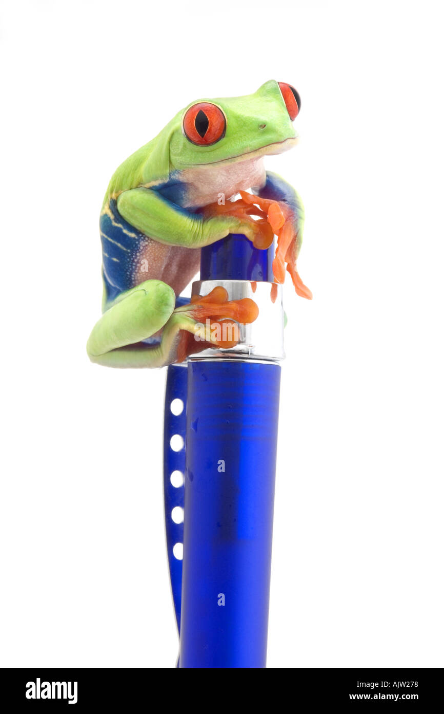 Go to the top of the class hi-res stock photography and images - Alamy