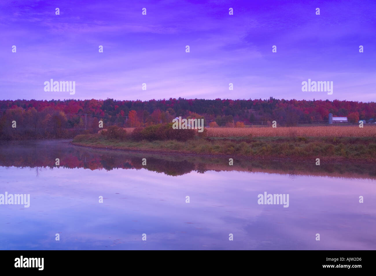 Field water and farm building Stock Photo - Alamy