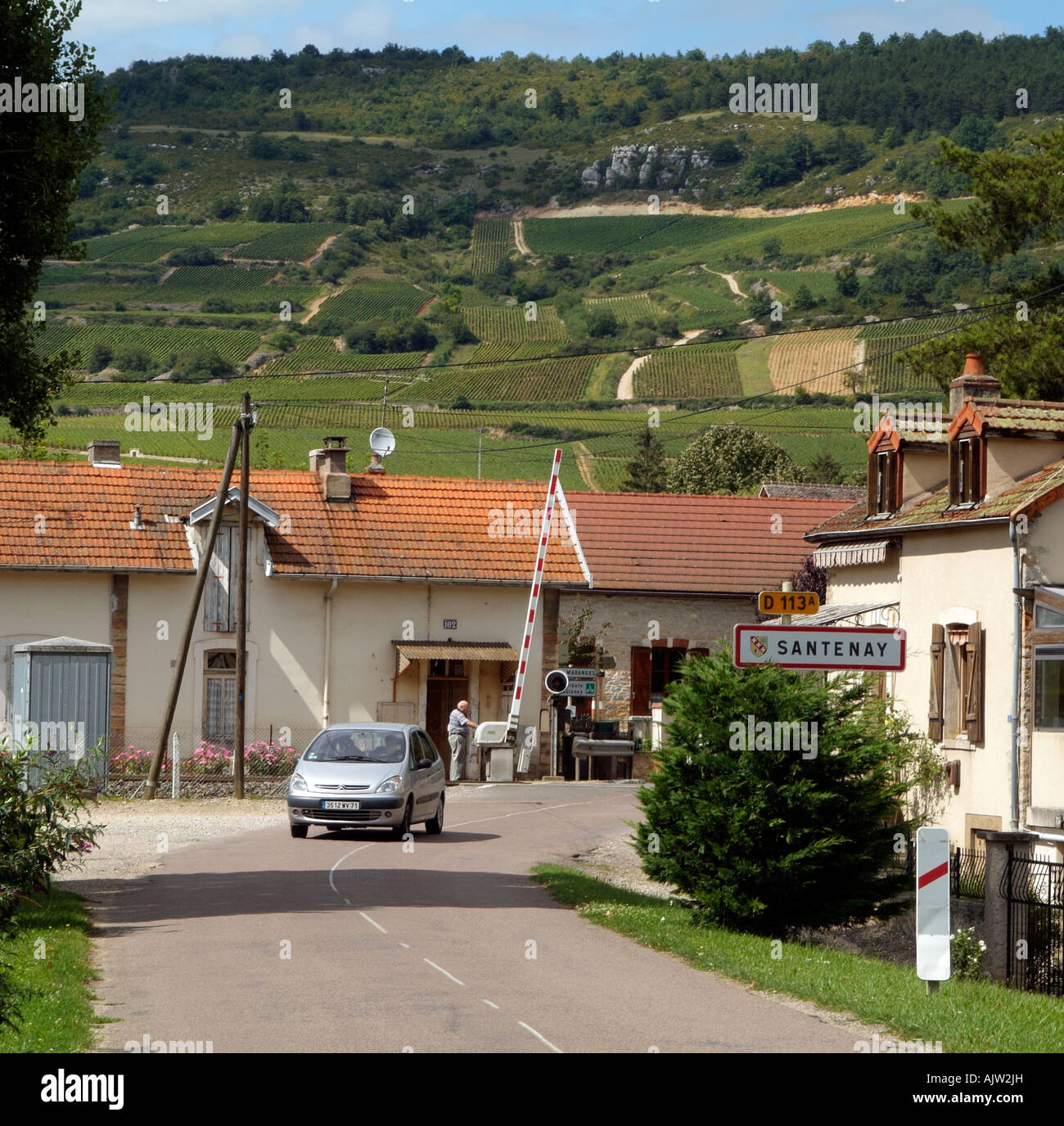 Wine Town of Santenay and vineyards on the hillside in The Cote de ...