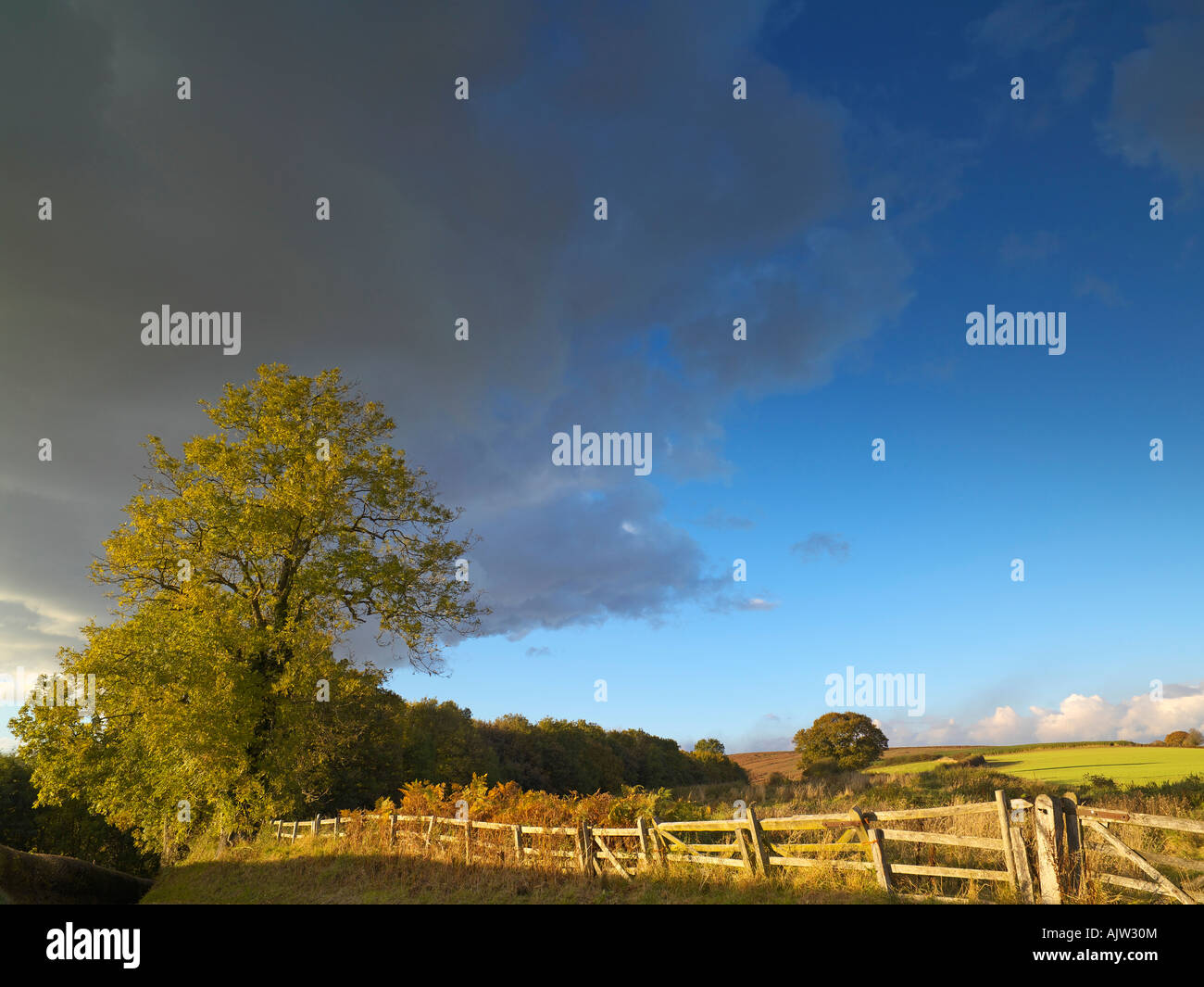 Yorkshire fall landscape Stock Photo - Alamy