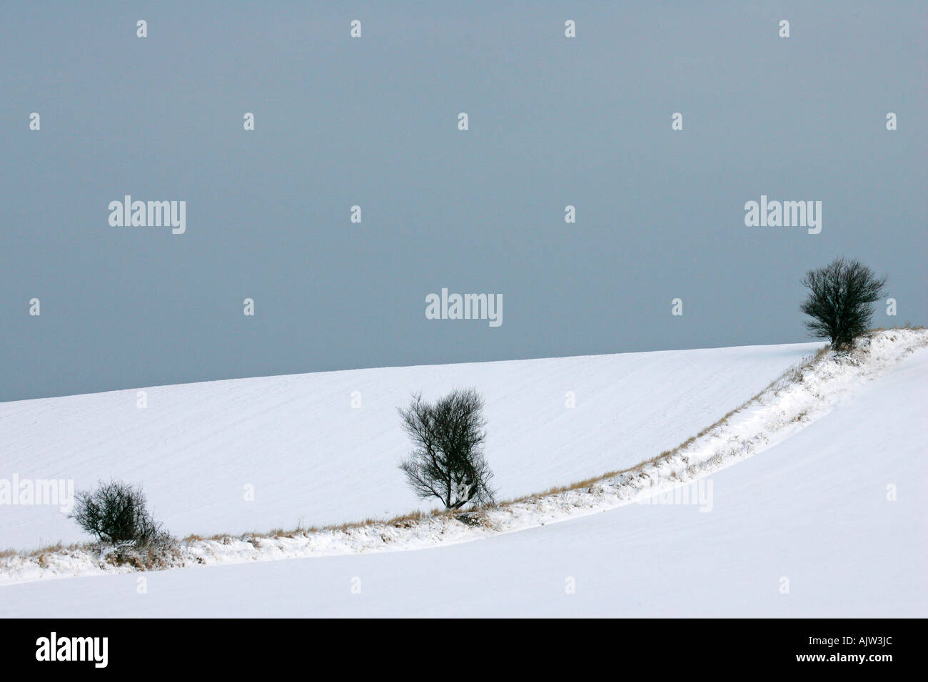 Field in winter Stock Photo - Alamy