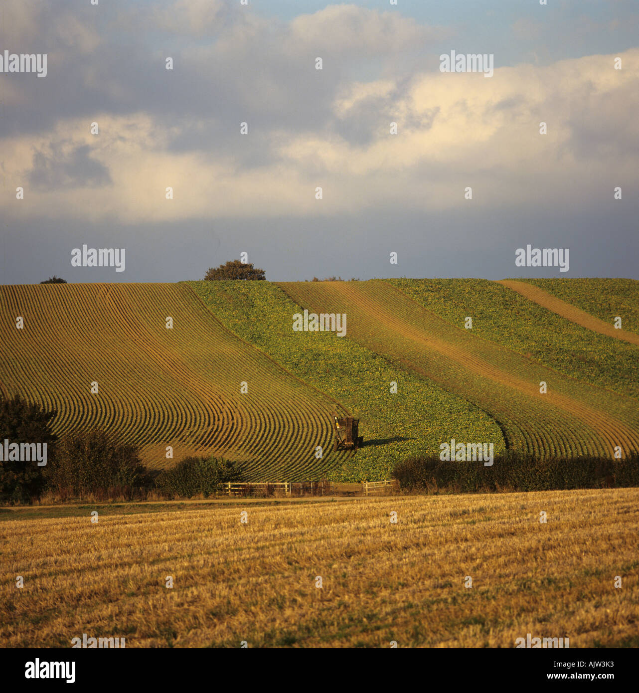 Sloping Elevator High Resolution Stock Photography and Images - Alamy