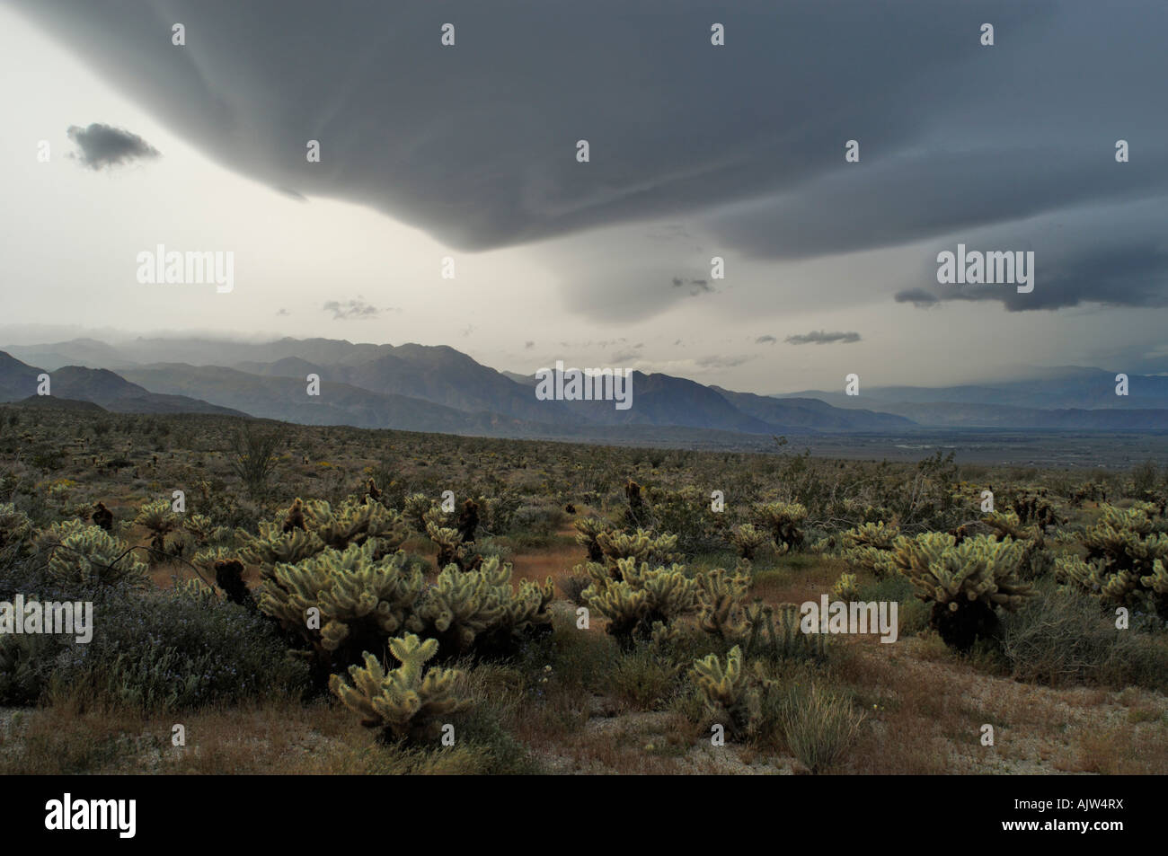 Anza borrego desert state park weather hi-res stock photography and ...