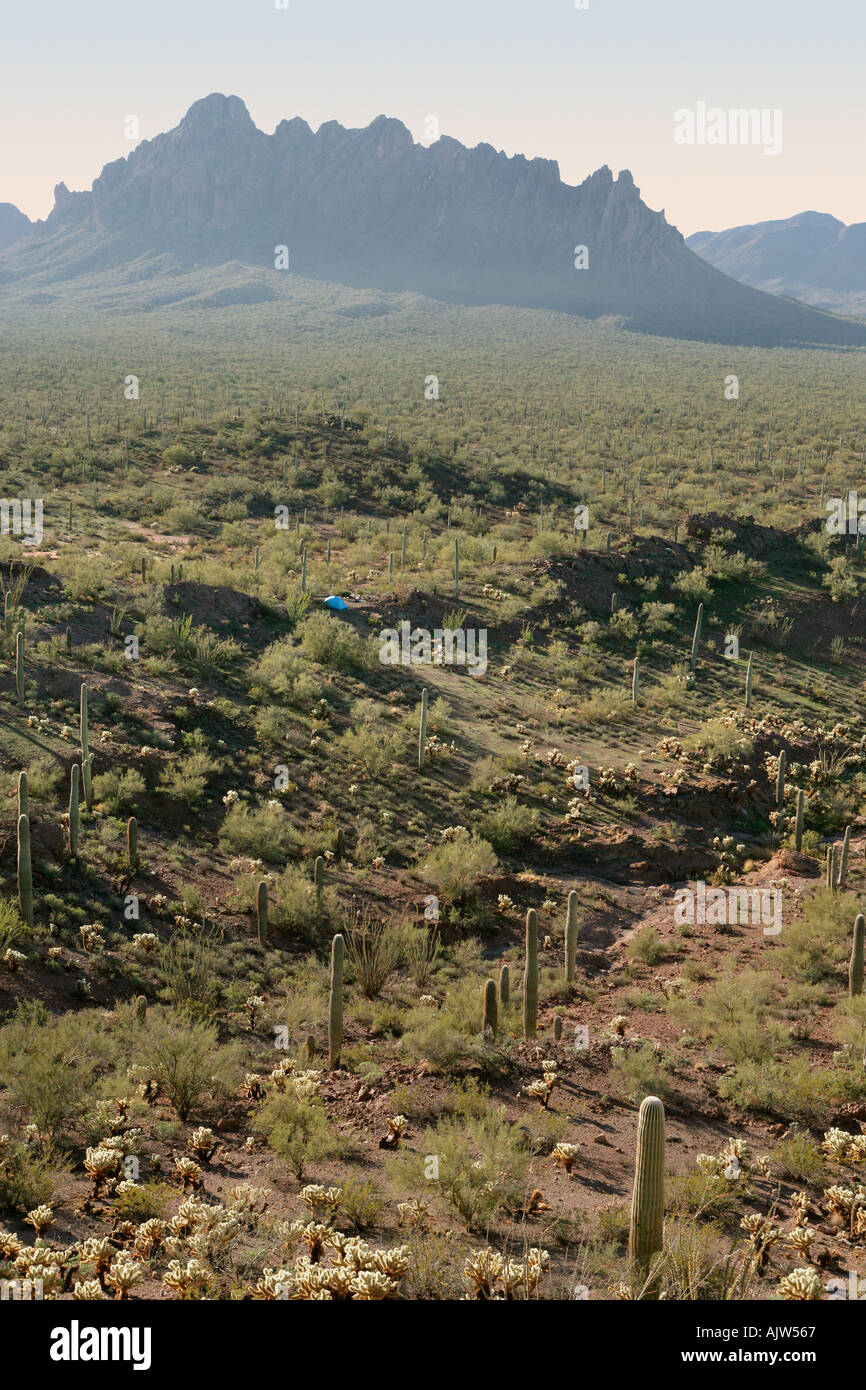 A southern Arizona Desert scene with a camp site dwarfed by the ...