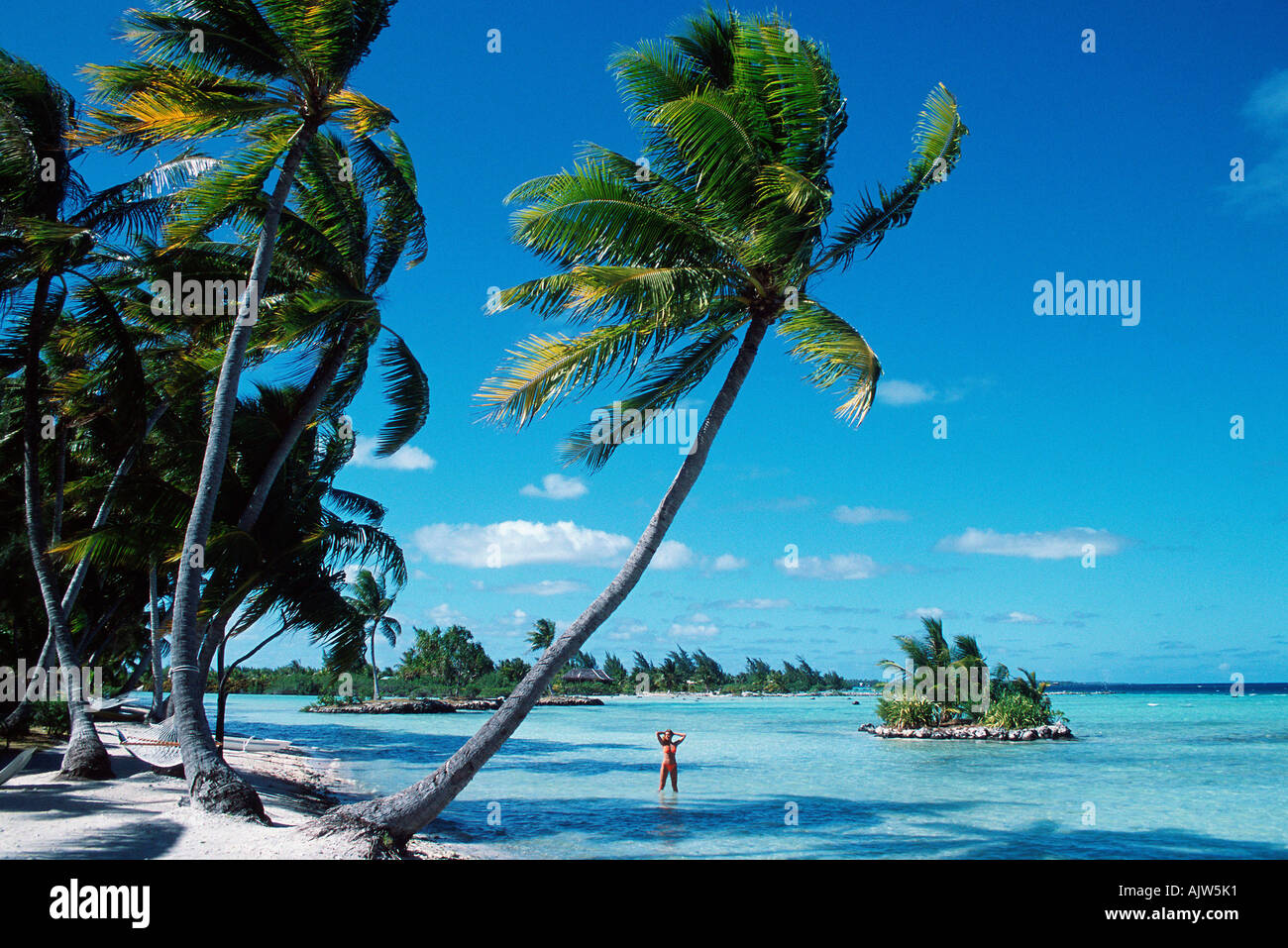 Tropical beach Stock Photo - Alamy