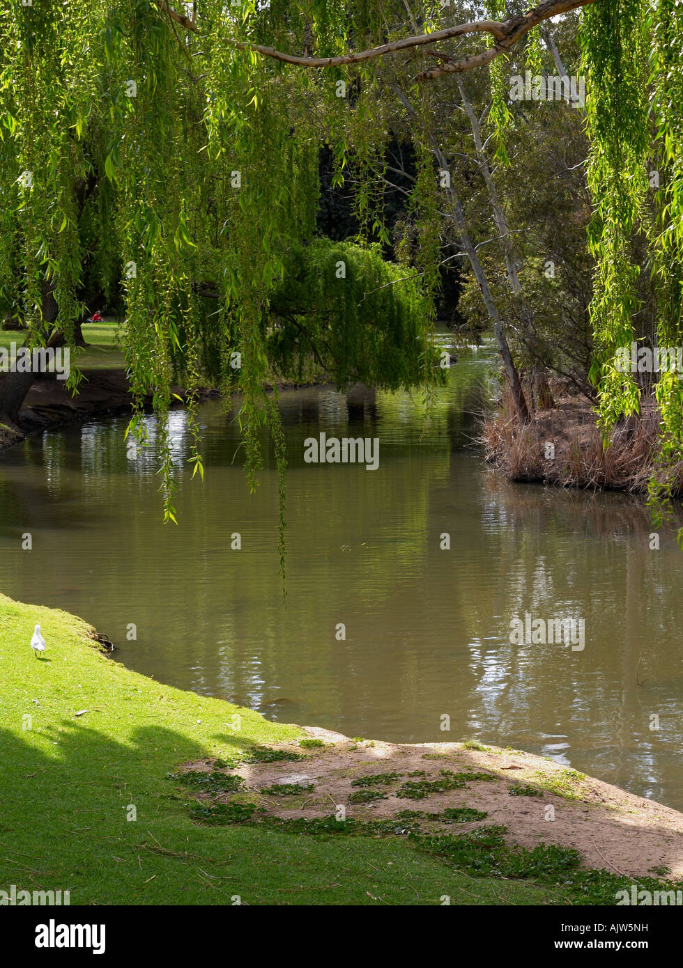 A tranquil lake scene in the afternoon sun Stock Photo - Alamy
