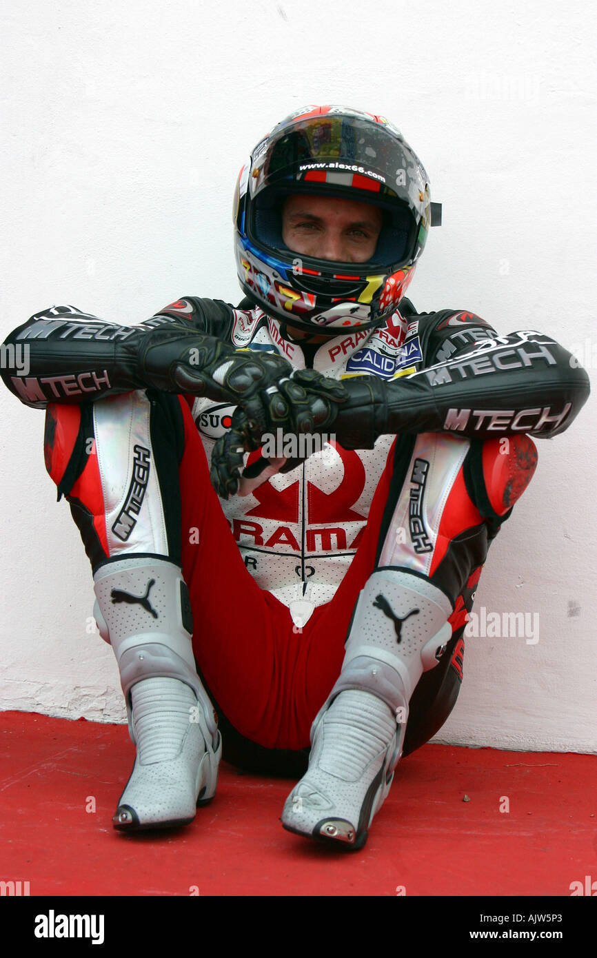 Hoffmeister bear hi-res stock photography and images - Alamy