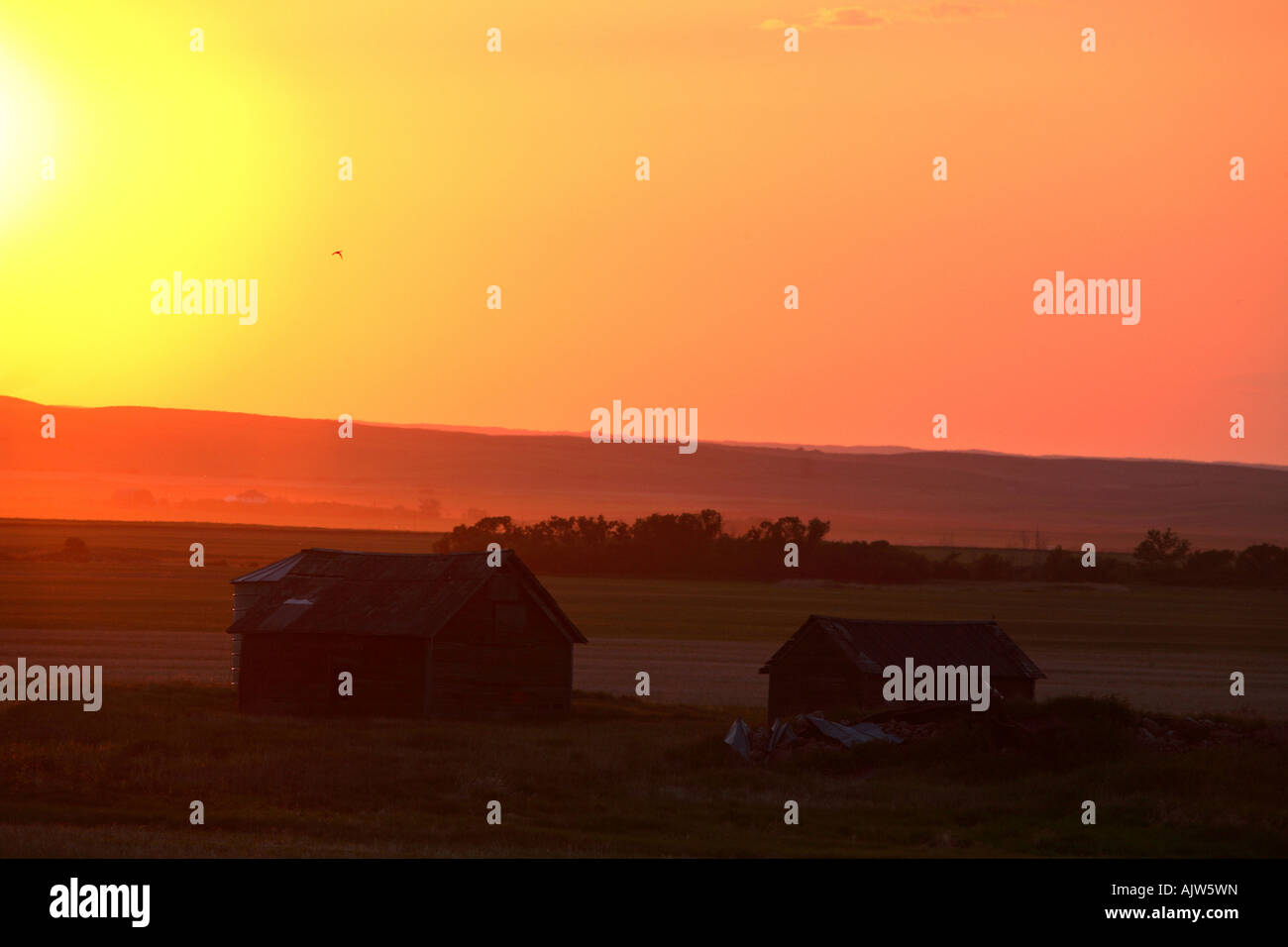 Naring hi-res stock photography and images - Alamy