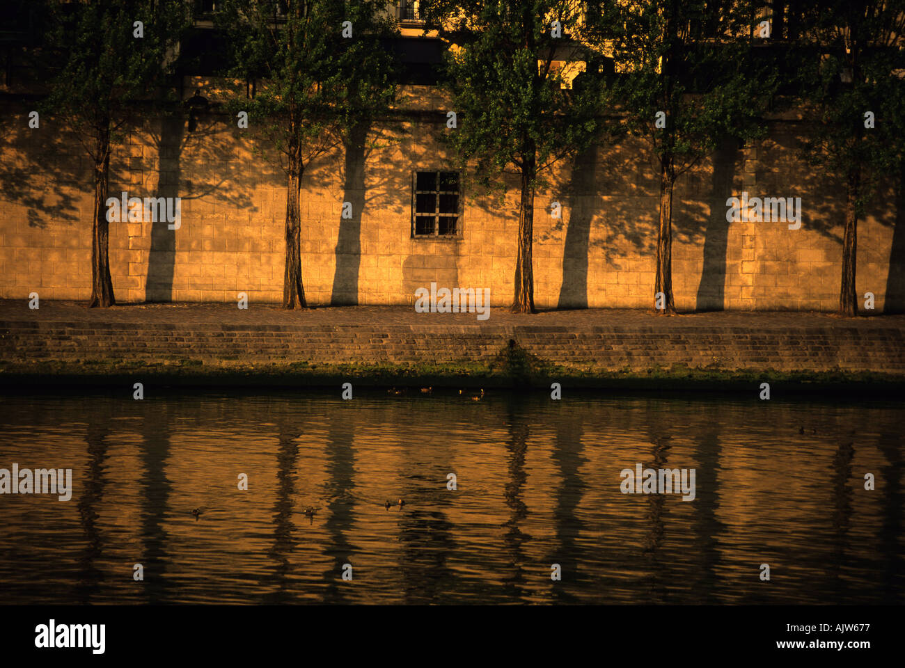 Paris trees line a walkway along the Seine early morning shadows Stock ...