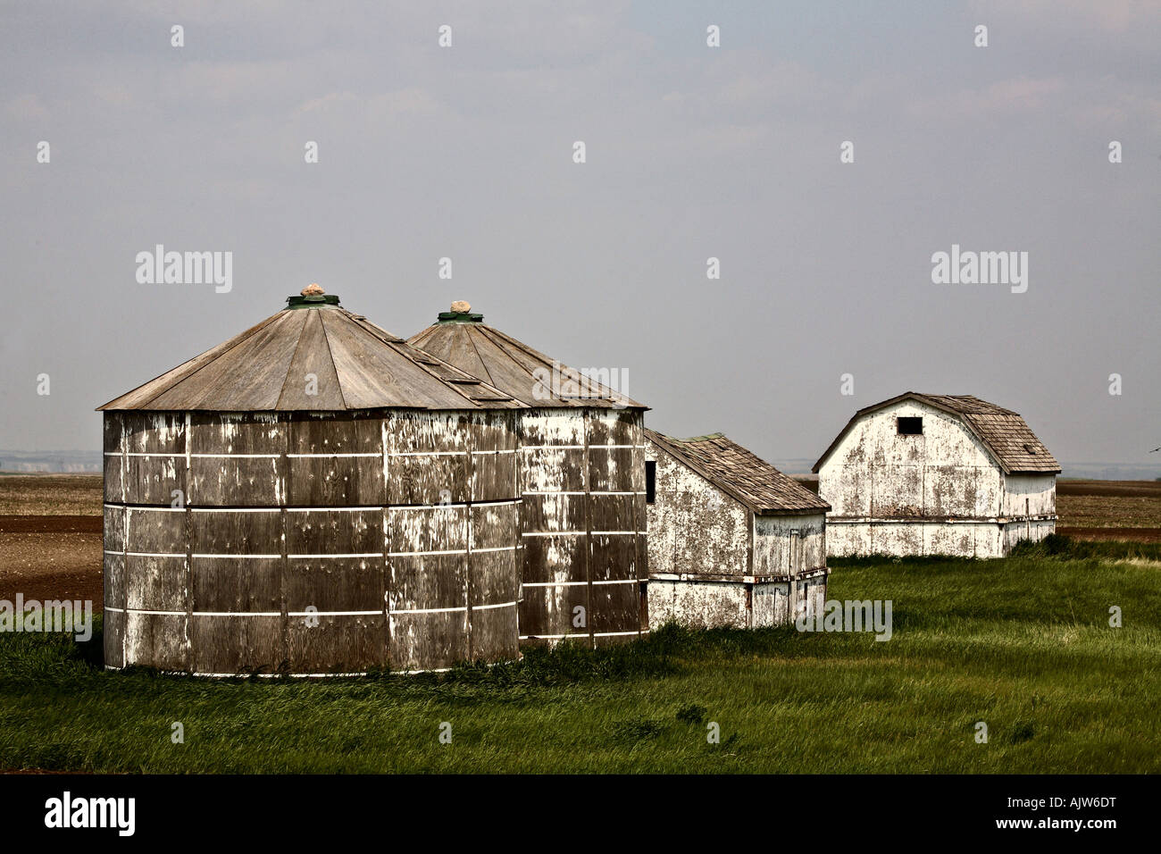 Lined up old granaries in Saskatchewan Stock Photo - Alamy