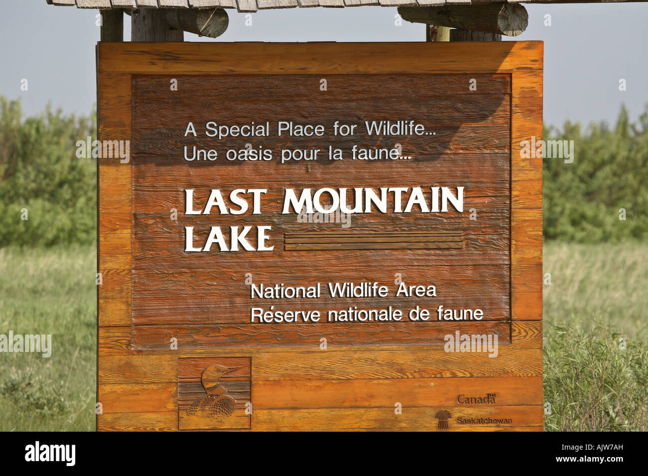 Wildlife of saskatchewan hi-res stock photography and images - Alamy