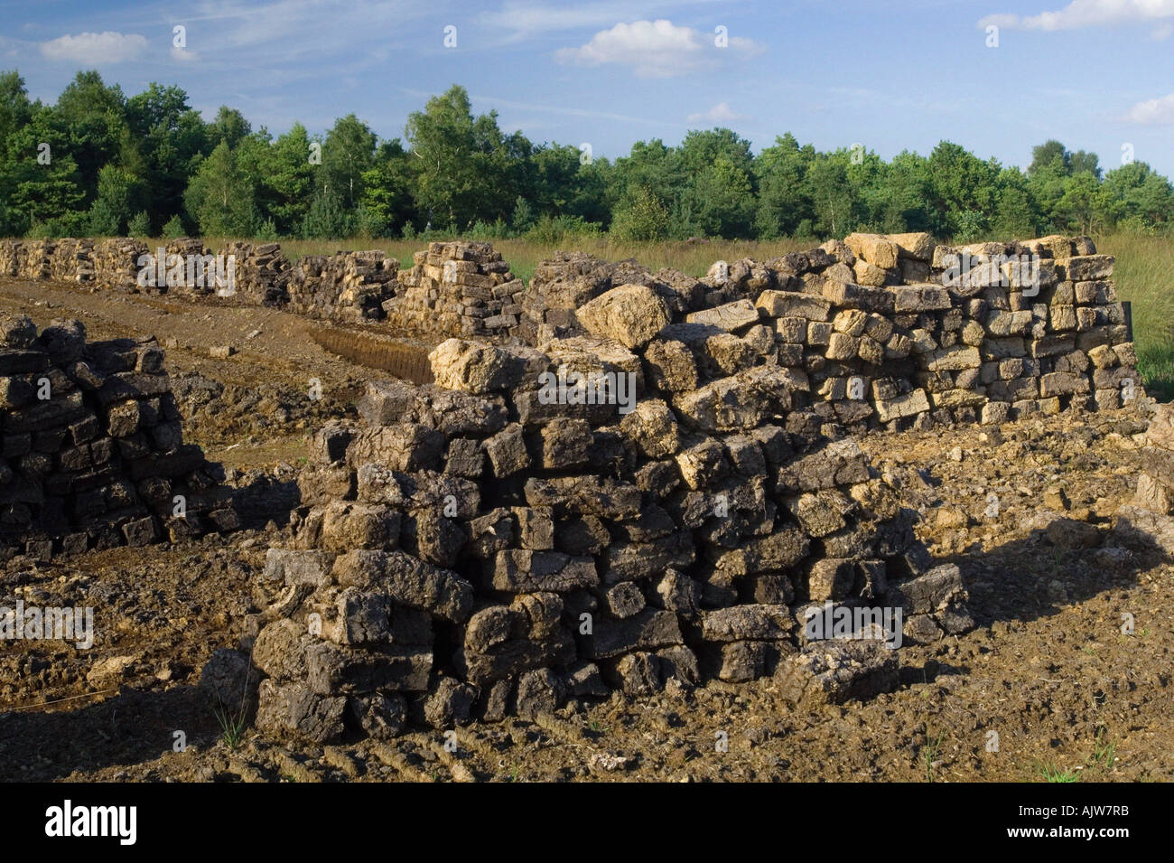 Stacks of peat Stock Photo - Alamy