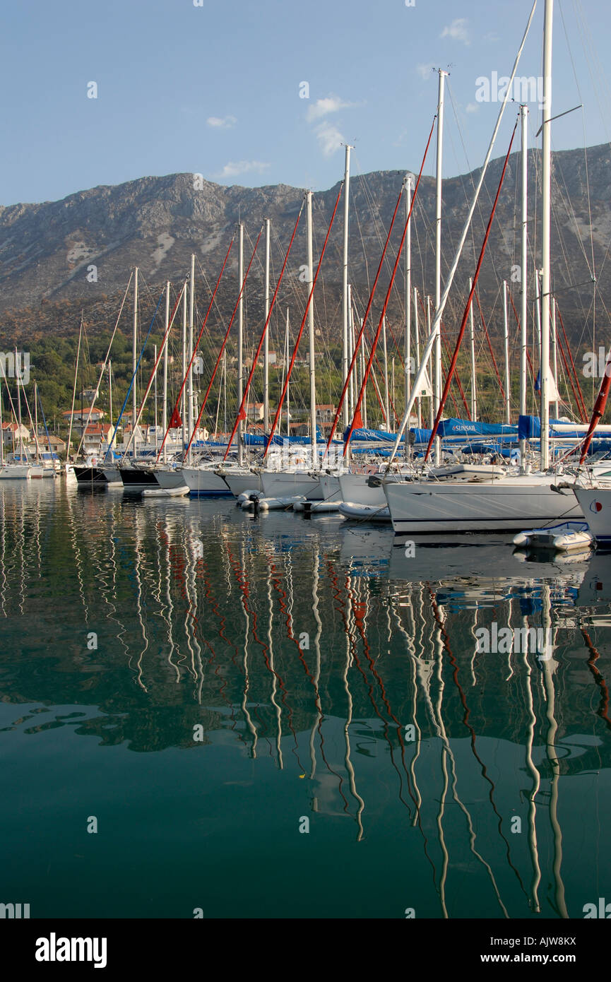 Davidsouth dalmatia hi-res stock photography and images - Alamy