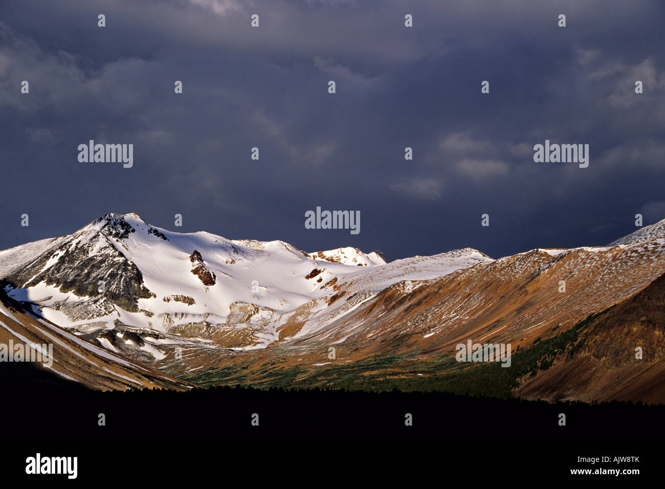 South Chilcotin Mountains near Warner Ridge British Columbia Canada ...