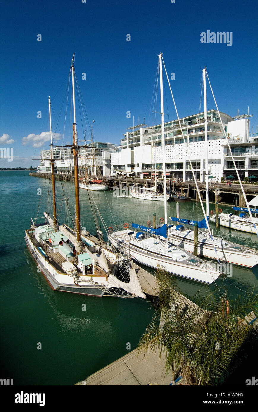 Hilton Hotel / Auckland Stock Photo - Alamy