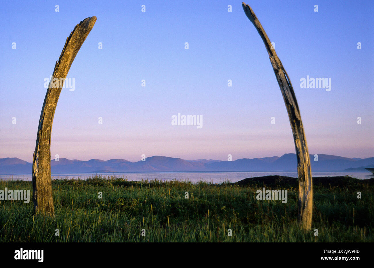 Whale bone Stock Photo - Alamy