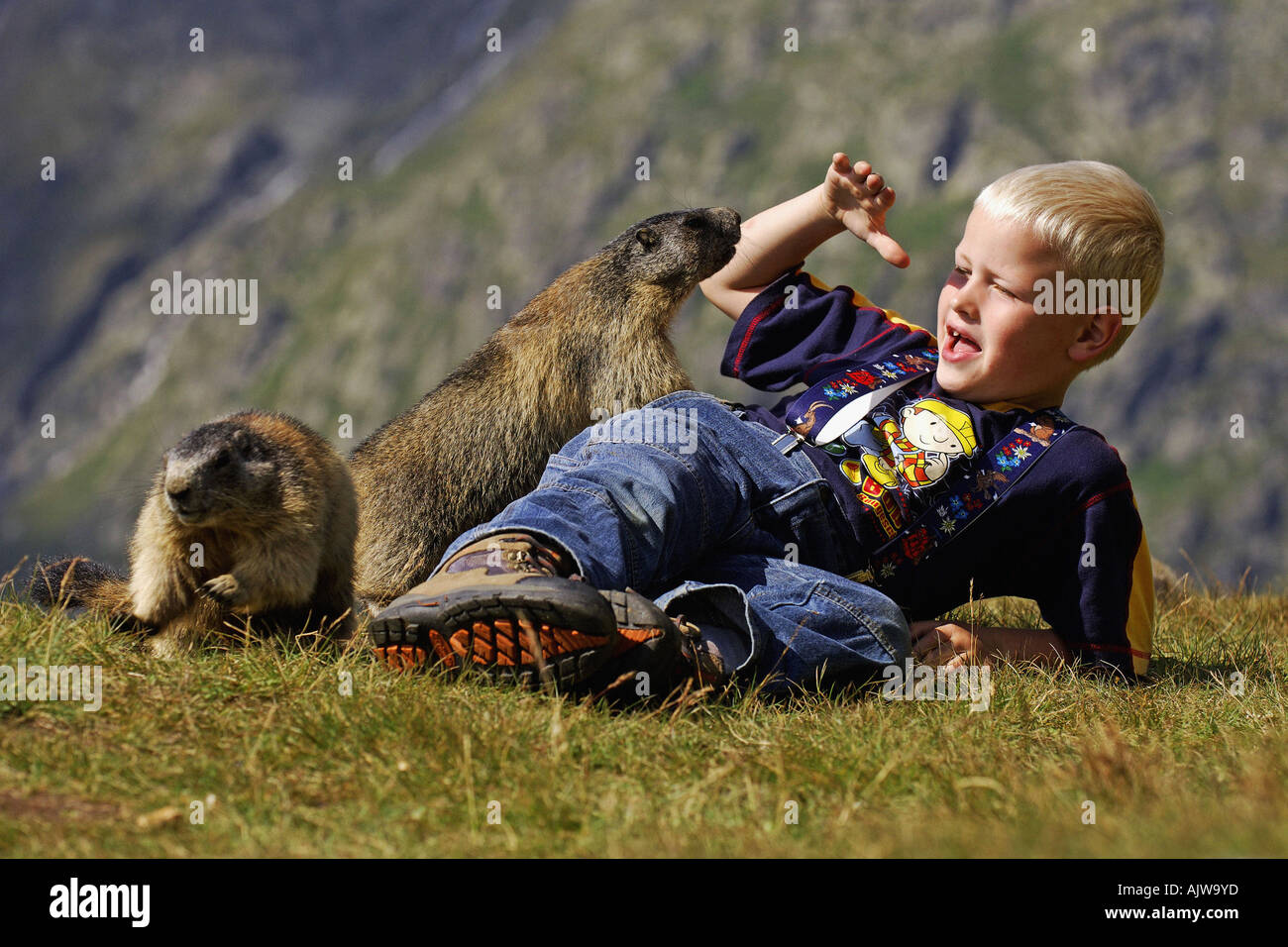Marmots and human hi-res stock photography and images - Alamy