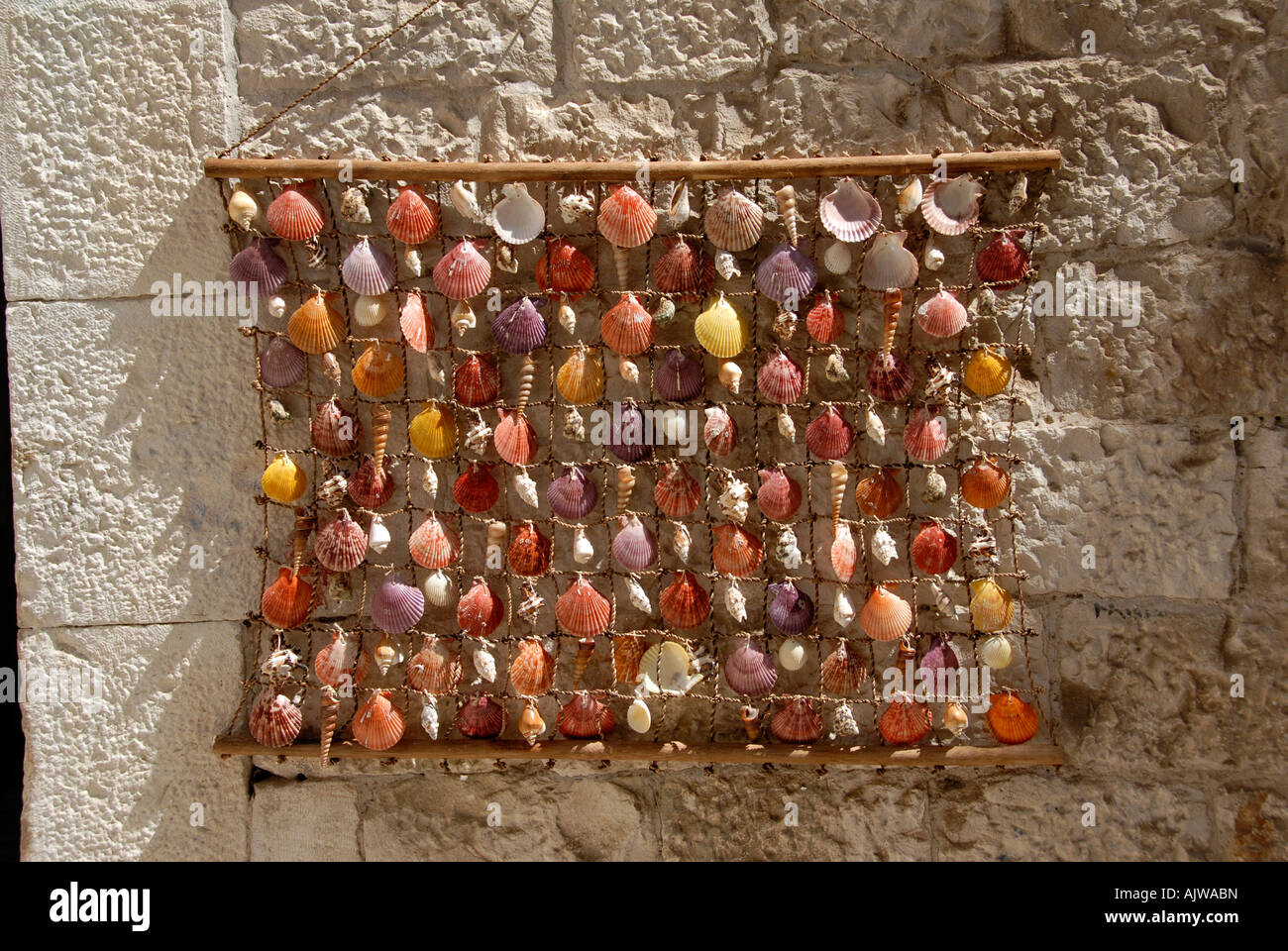 Shells Trogir Dalmatia Adriatic Croatia Stock Photo - Alamy