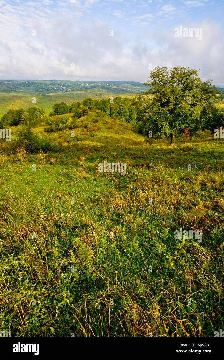 A sunlit slope is painted in golden colors on a breezy day Stock Photo ...