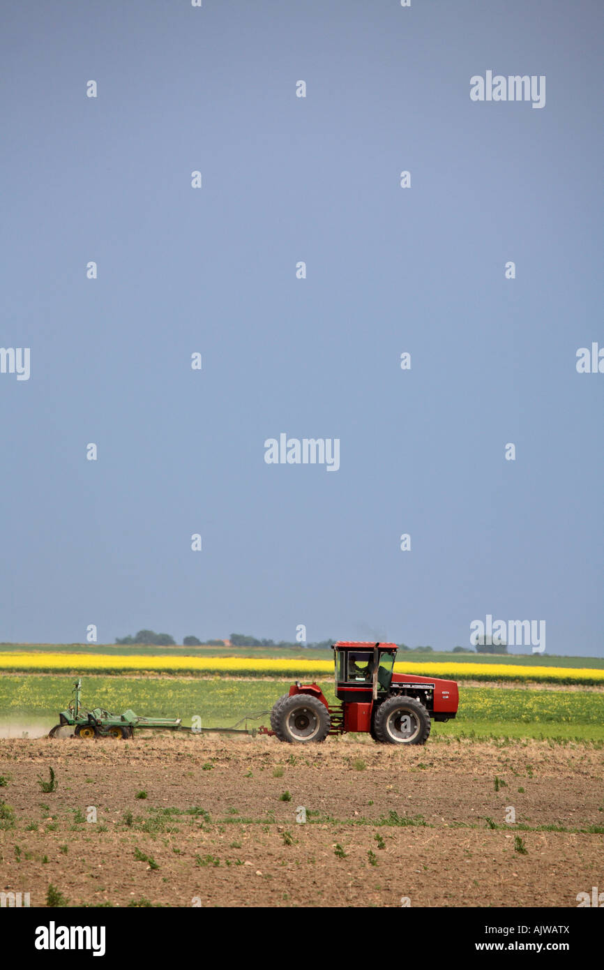 Farmer harrowing his field Stock Photo - Alamy