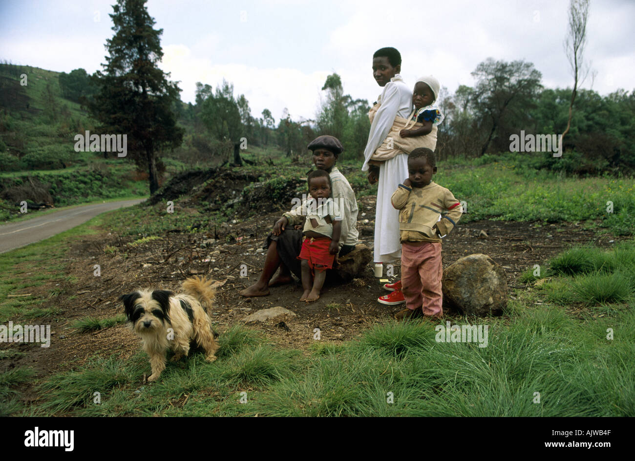 Five Children and a dog Transvaal South Africa Stock Photo - Alamy