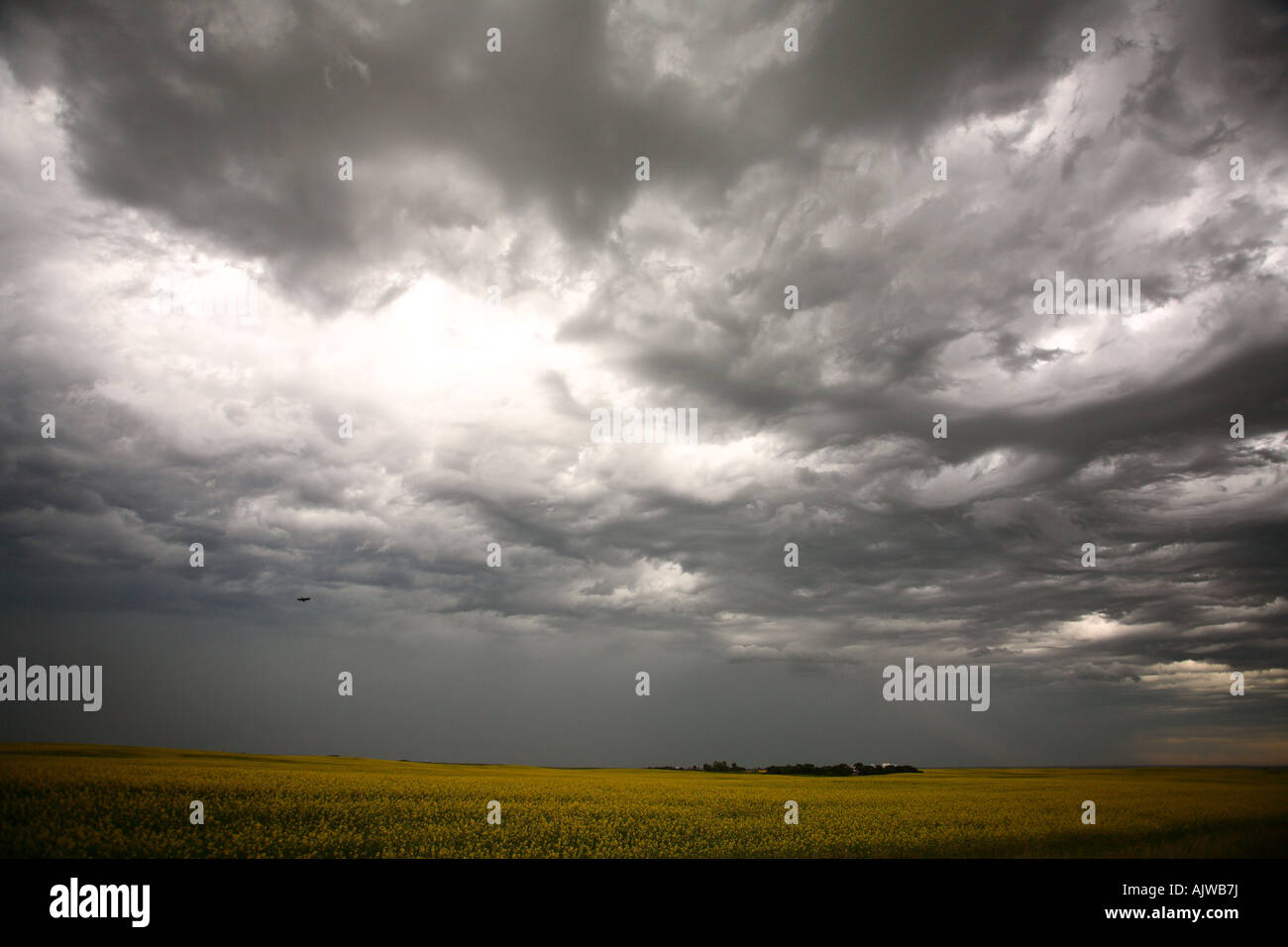 Storm clouds and rain voer the Prairies Stock Photo - Alamy
