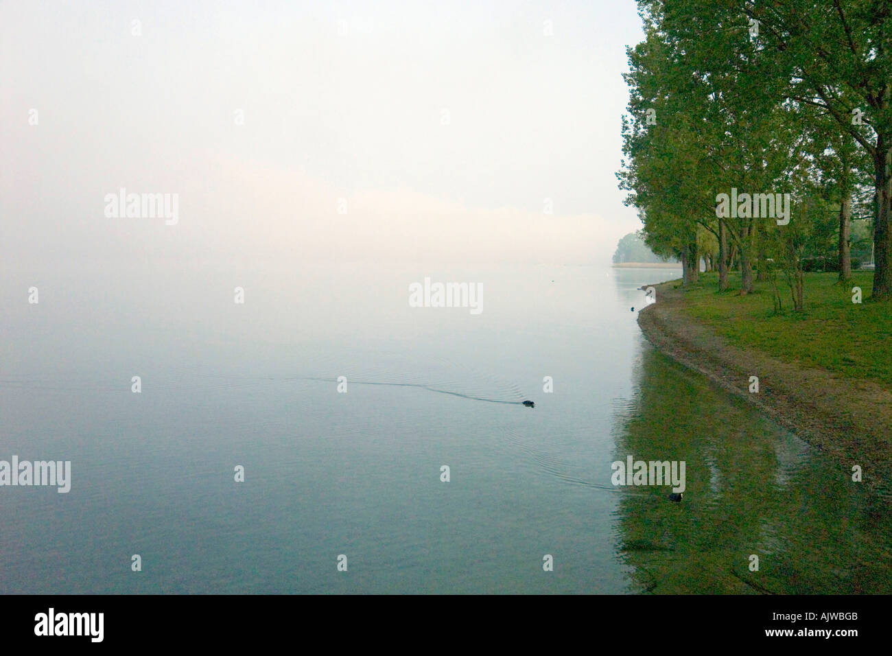 Lake Constance Stock Photo - Alamy