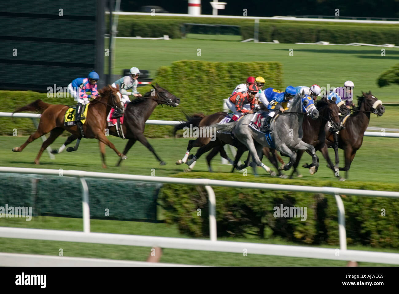 Horses running at Saratoga Race Course Saratoga Springs New York Stock ...