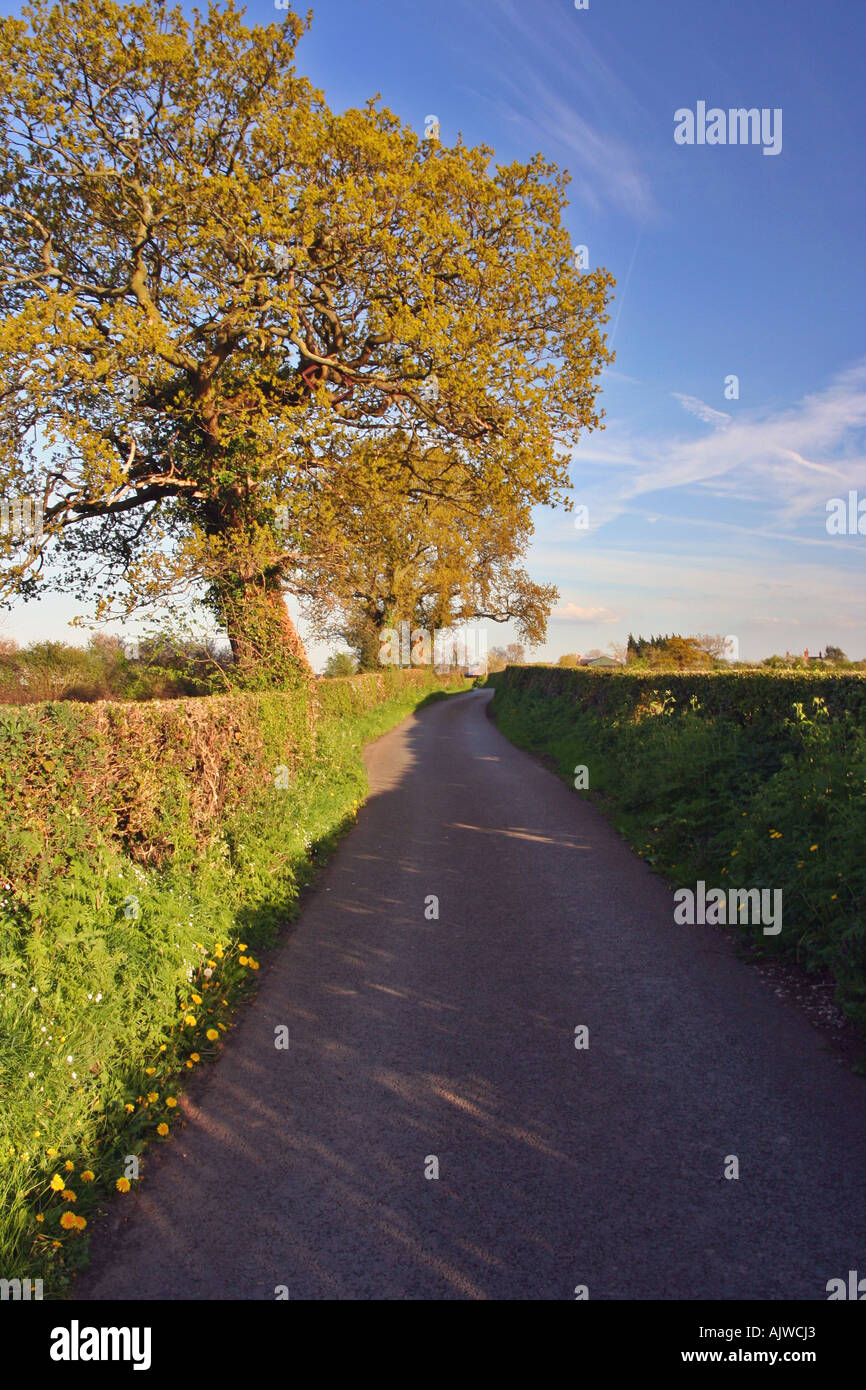 Country Road Wales High Resolution Stock Photography and Images - Alamy