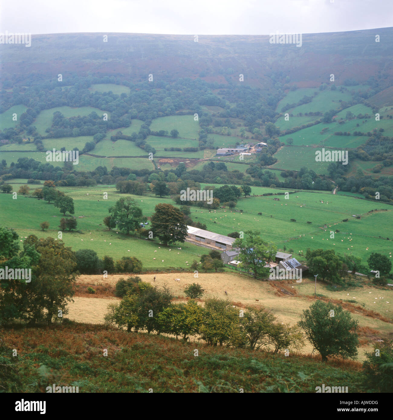 Llanthony valley hi-res stock photography and images - Alamy
