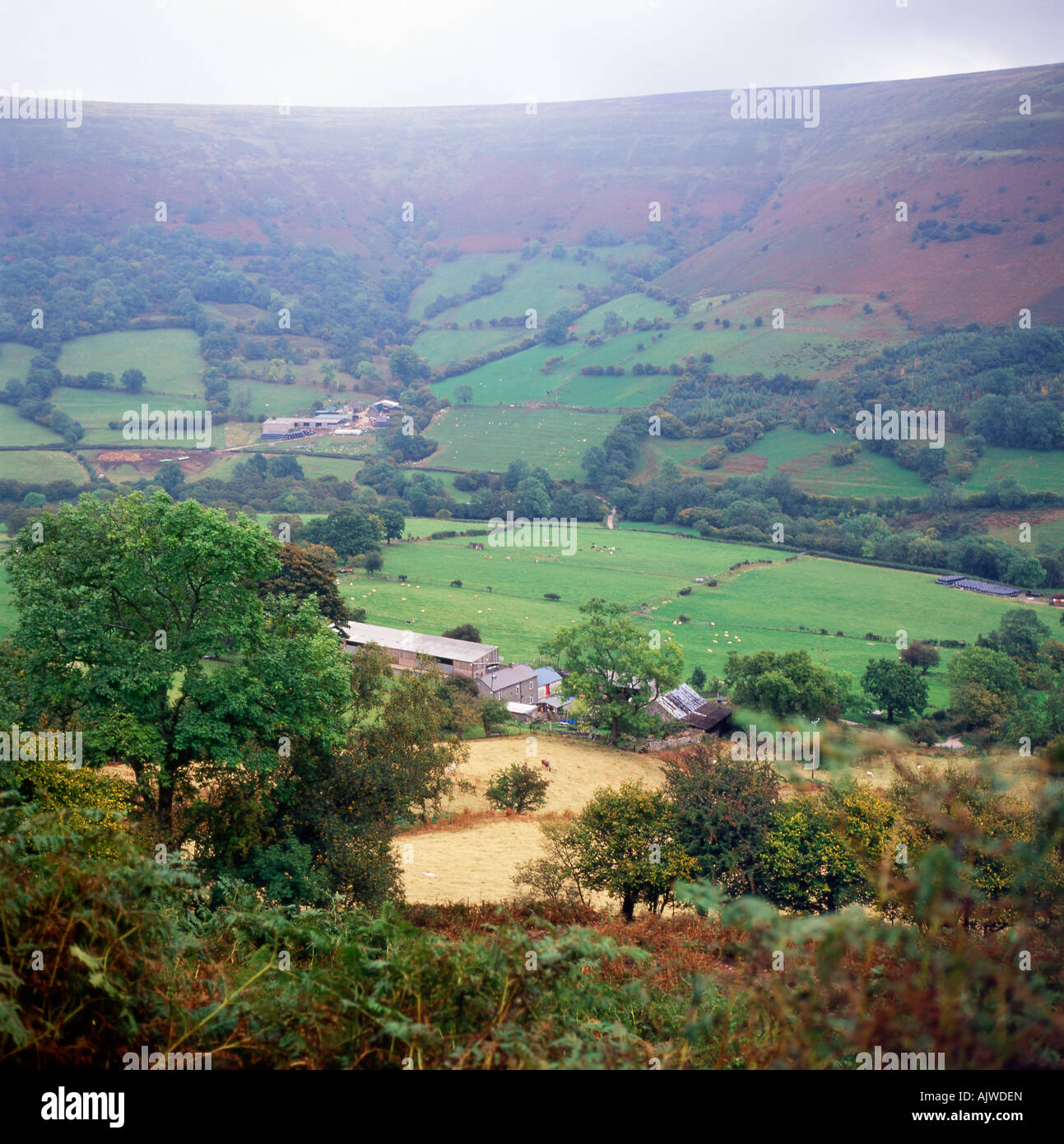 Llanthony valley hi-res stock photography and images - Alamy