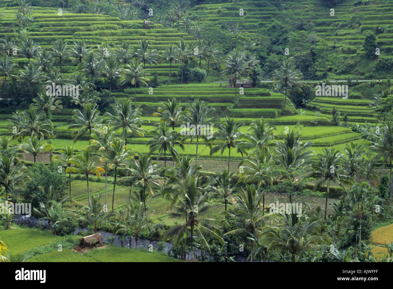 Indonesia Bali landscape Stock Photo - Alamy