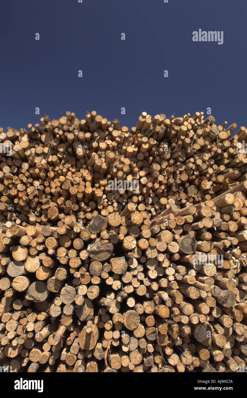 Expansive piles hi-res stock photography and images - Alamy