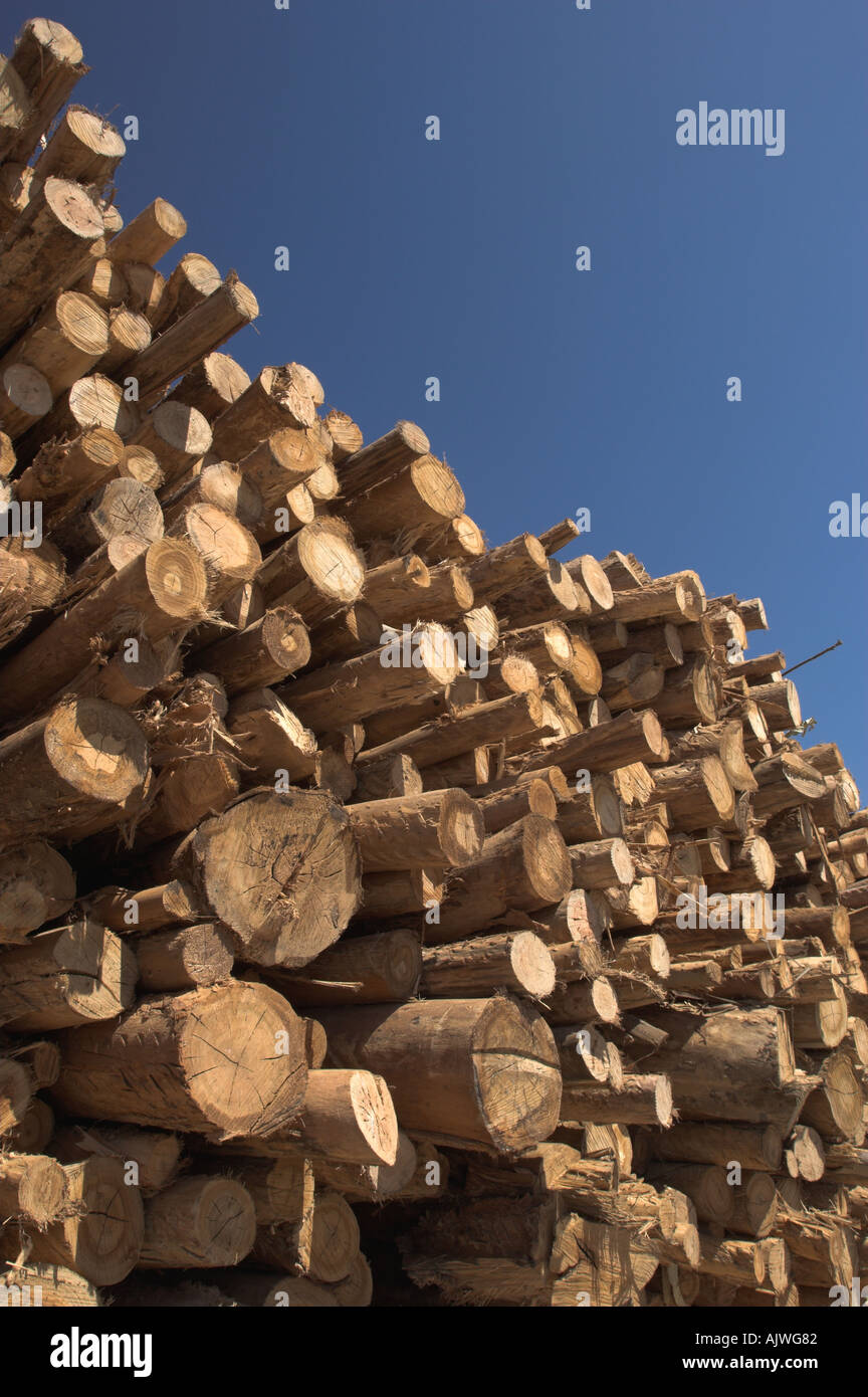 piles of cut wood Stock Photo - Alamy