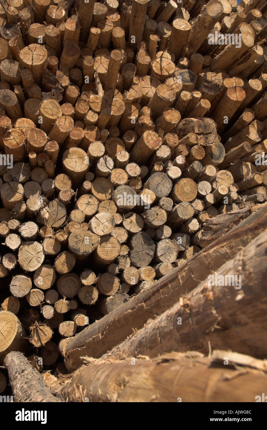 piles of cut wood Stock Photo - Alamy