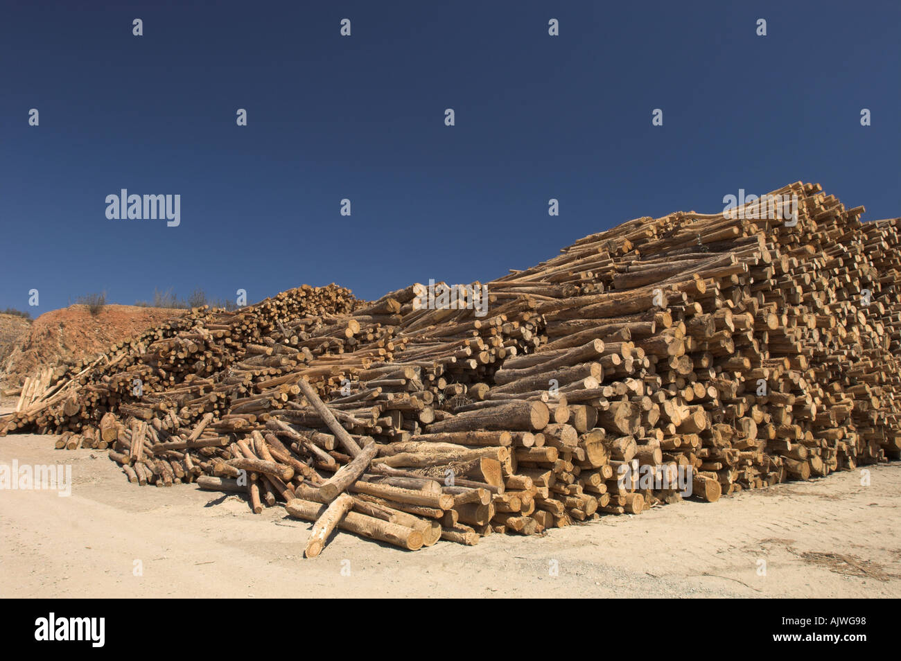 piles of cut wood Stock Photo - Alamy