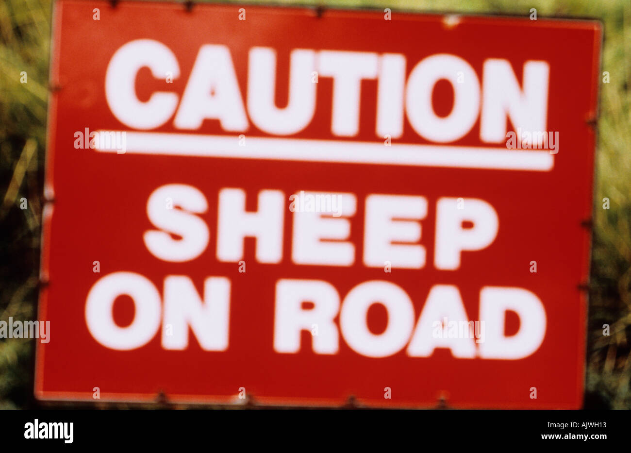 Defocussed red and white sign warning Caution Sheep on road Stock Photo ...