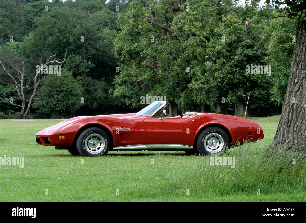 1975 Corvette Convertible