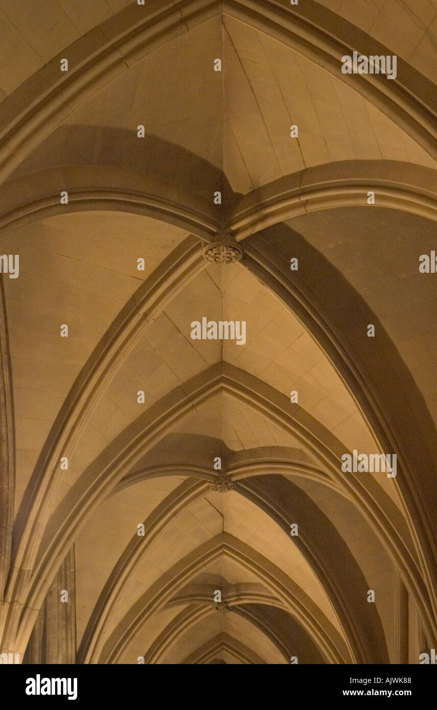 Looking up at the ceiling of Christ Church Cathedral in Dublin Ireland ...