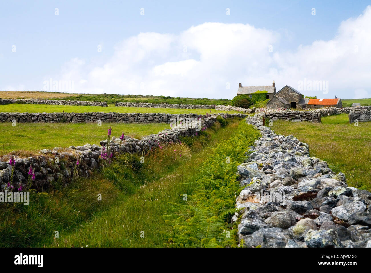 Traditional stone farmhouse and walls on farm near Madron Penwith Moor ...