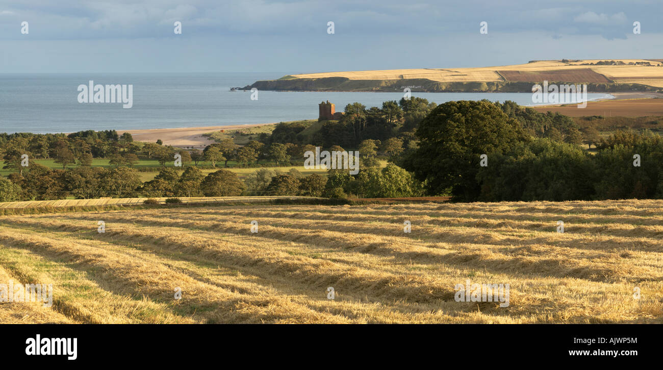 Lunan Bay and Red Castle, Angus, Scotland, UK Stock Photo - Alamy