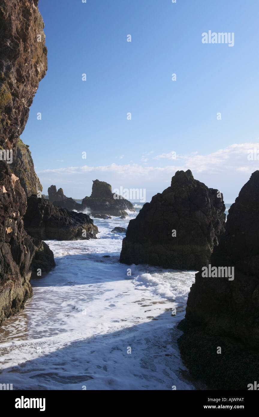 Rock stacks at Lunan Bay, Angus, Scotland, UK Stock Photo - Alamy