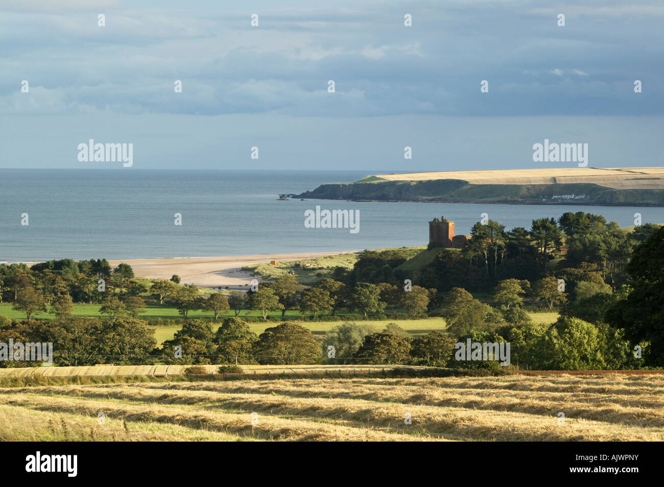 Lunan Bay and Red Castle, Angus, Scotland, UK Stock Photo - Alamy