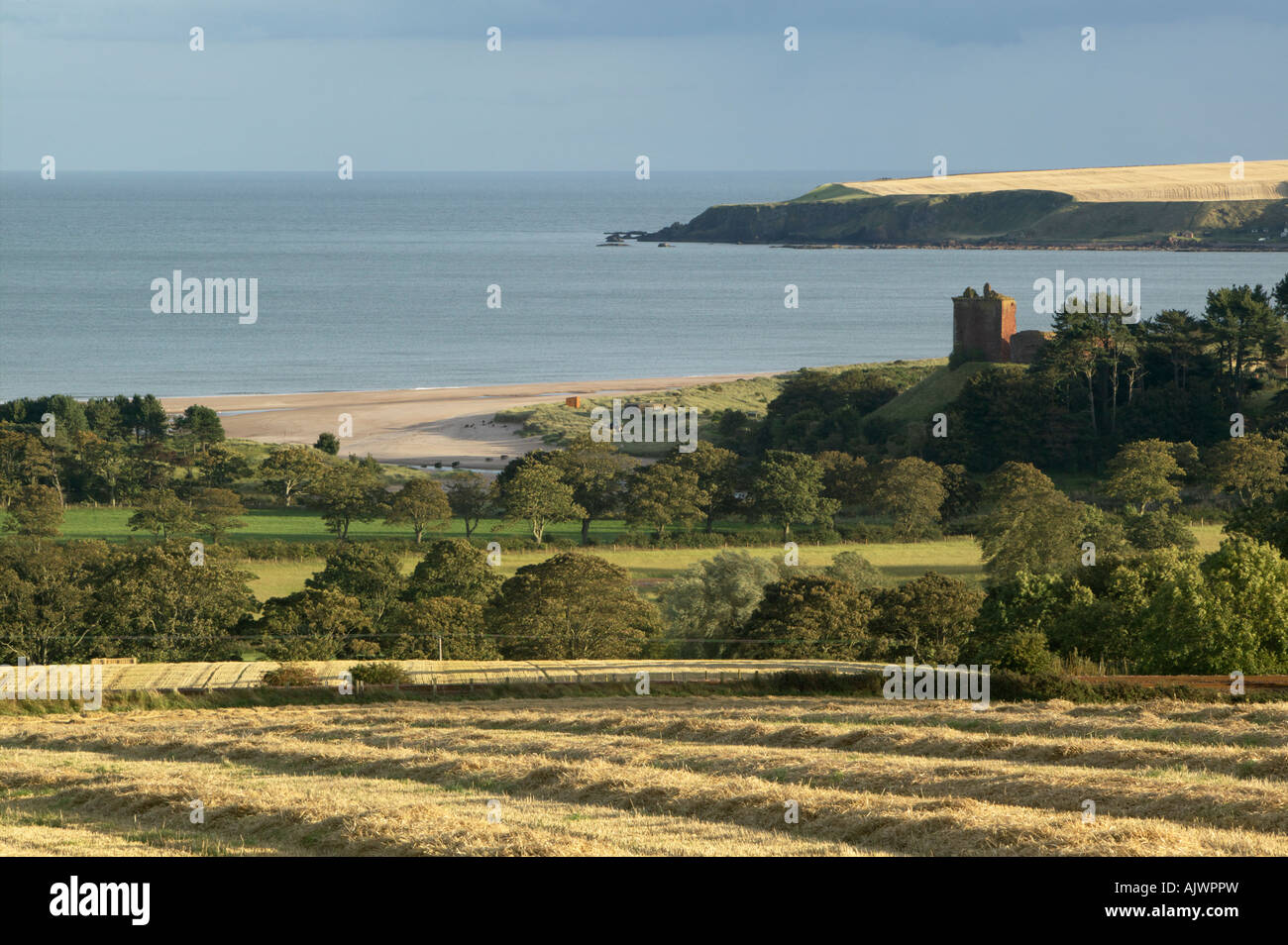 Lunan Bay and Red Castle, Angus, Scotland, UK Stock Photo - Alamy