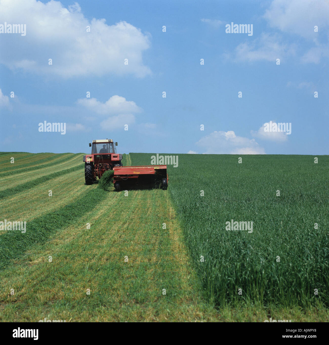 Tractor cutting grass hi-res stock photography and images - Alamy