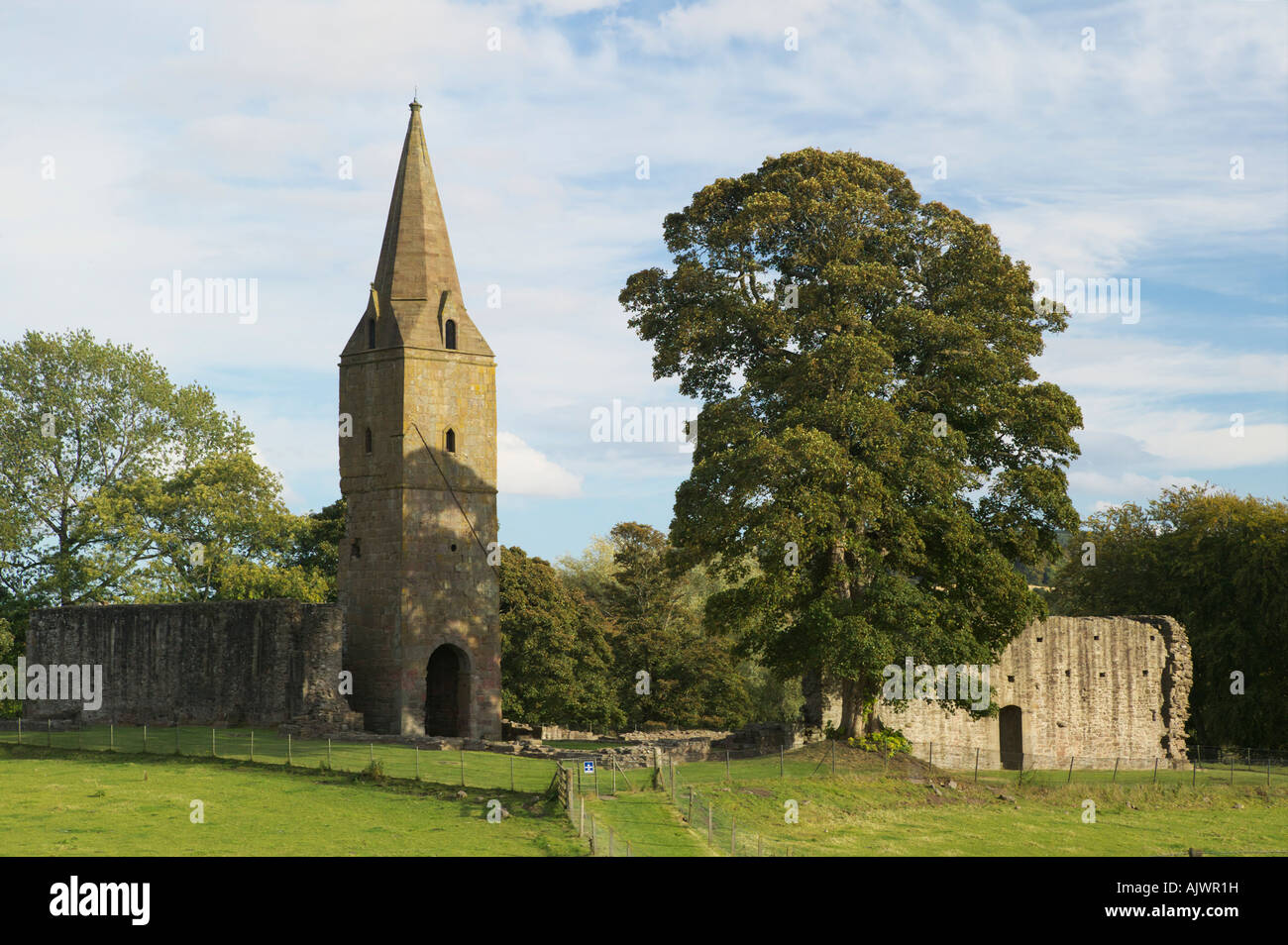 Restenneth abbey angus hi-res stock photography and images - Alamy