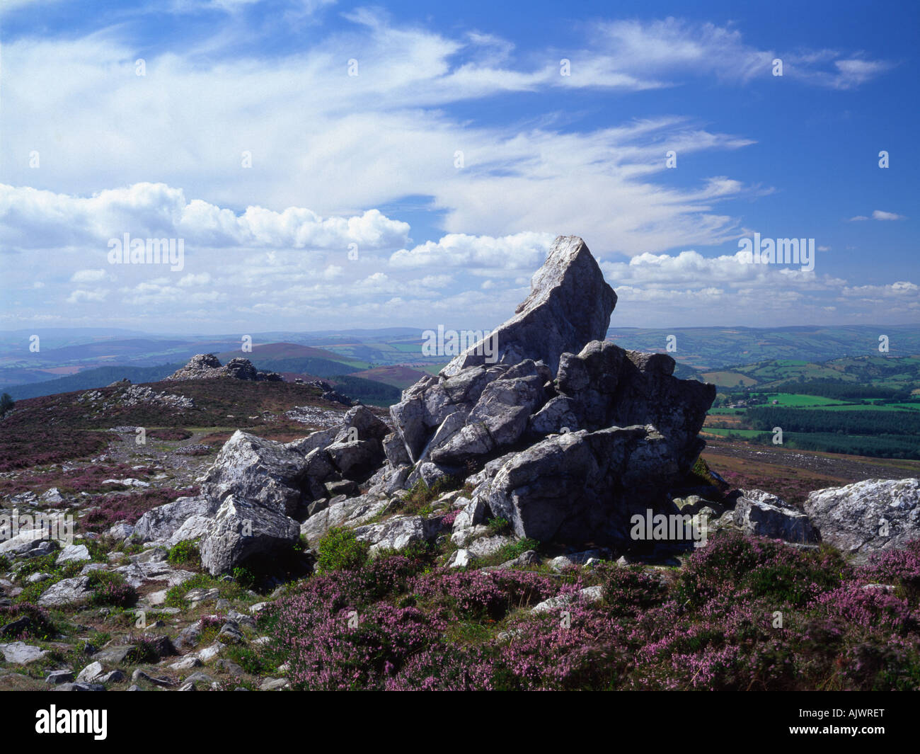 Stiperstones shropshire hills area of outstanding natural beauty hi-res ...