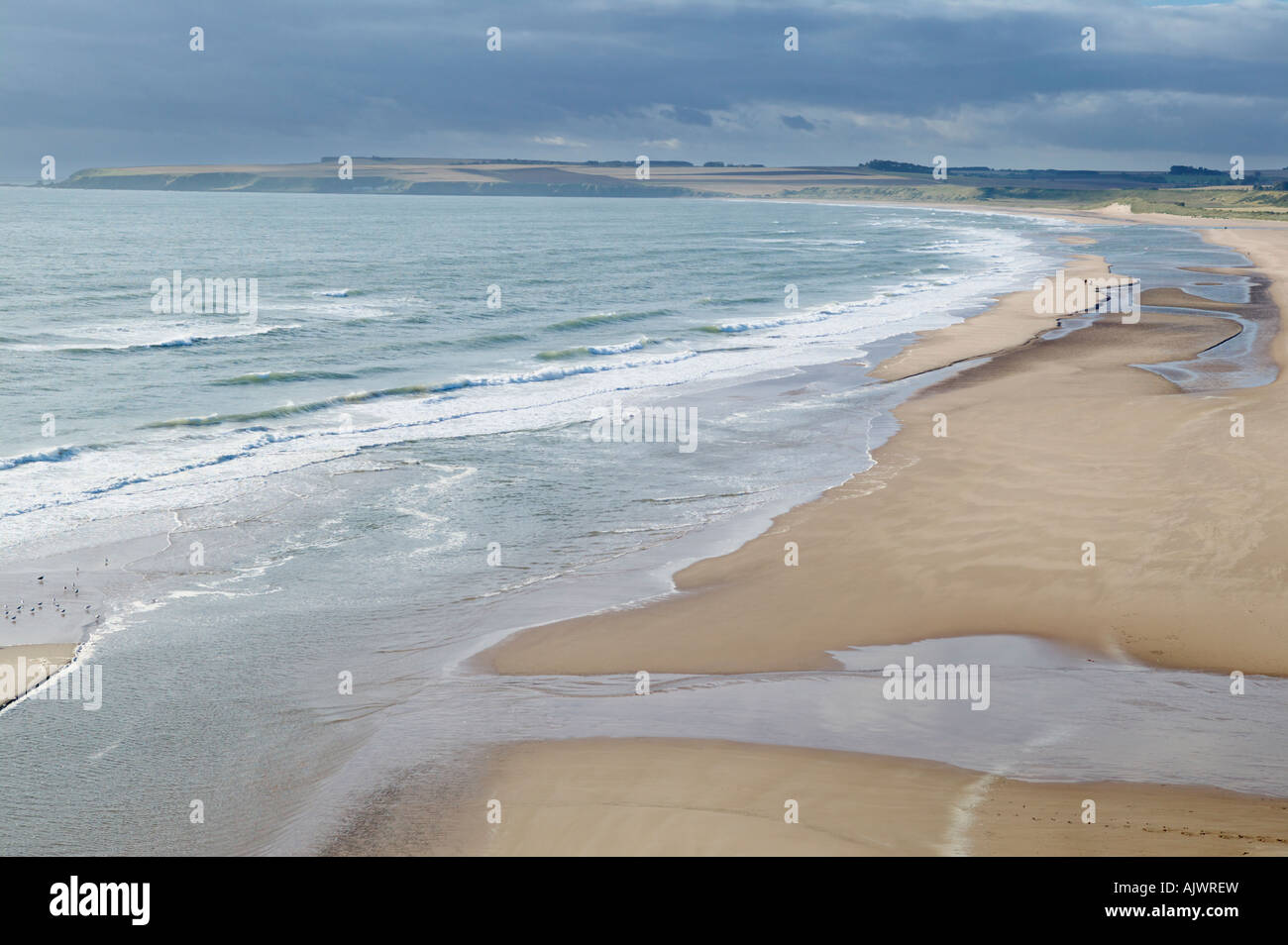 Lunan bay scotland hi-res stock photography and images - Alamy