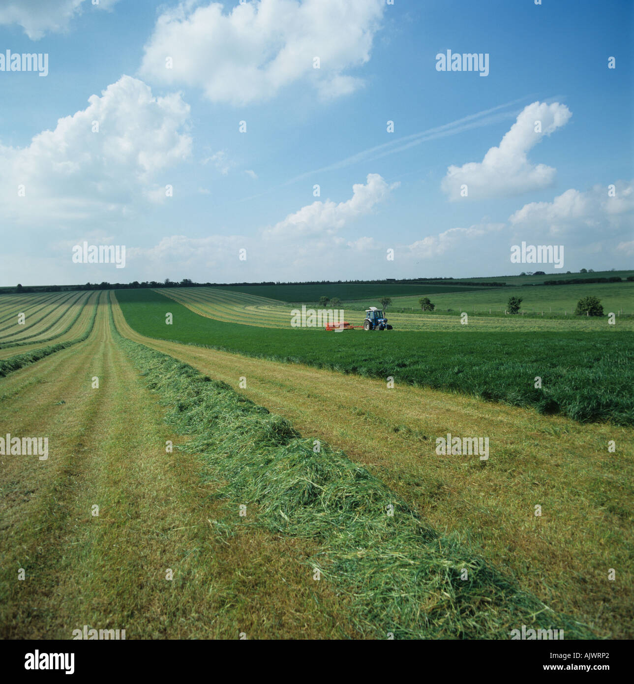 Taarup hi-res stock photography and images - Alamy